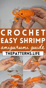 Step By Step Guide Crochet Cute Shrimp Amigurumi Pattern - The Patterns